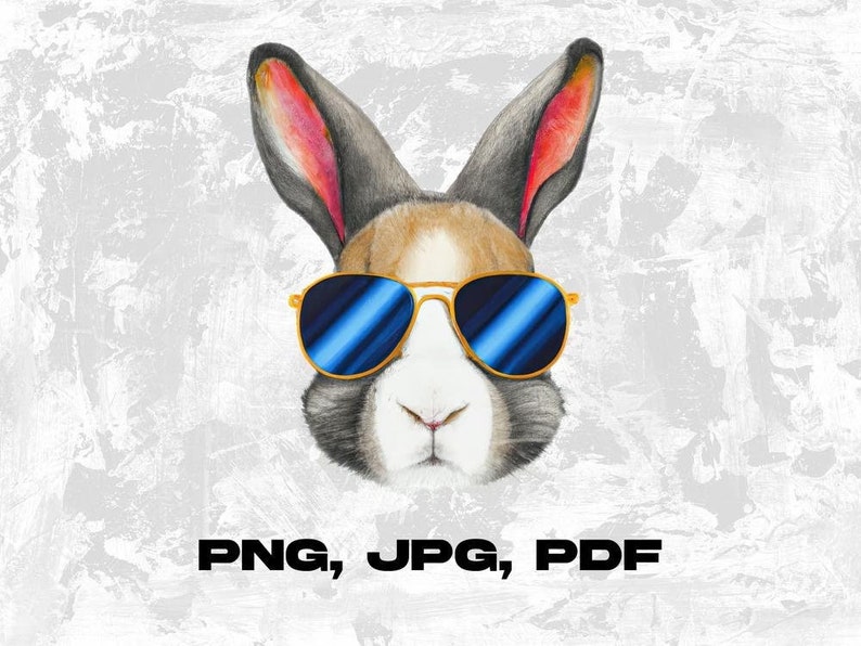 Rabbit Face Png, Rabbit Png, Cute Rabbit Png, Rabbit Lover Png, Rabbit ...