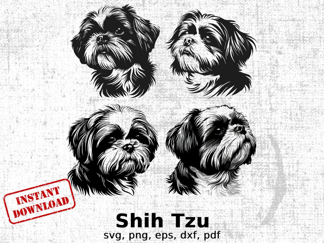 Shih Tzu Dog Clipart, Shih Tzu Svg, Shih Tzu Png, Shih Tzu Eps, Shih ...