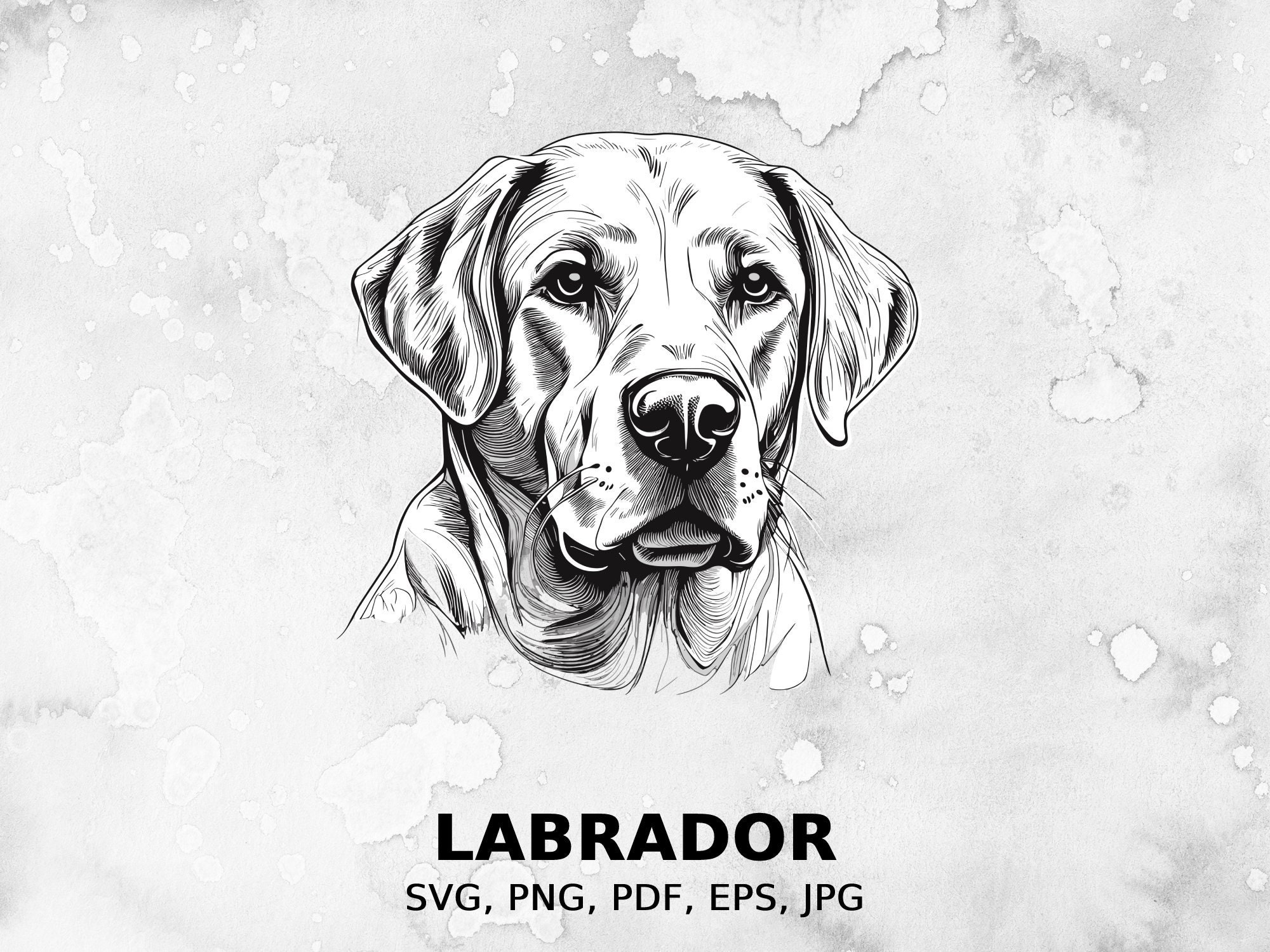 Labrador Svg, Dog Svg File, Pet Svg, Pdf File, Png, Eps File, Cut File ...
