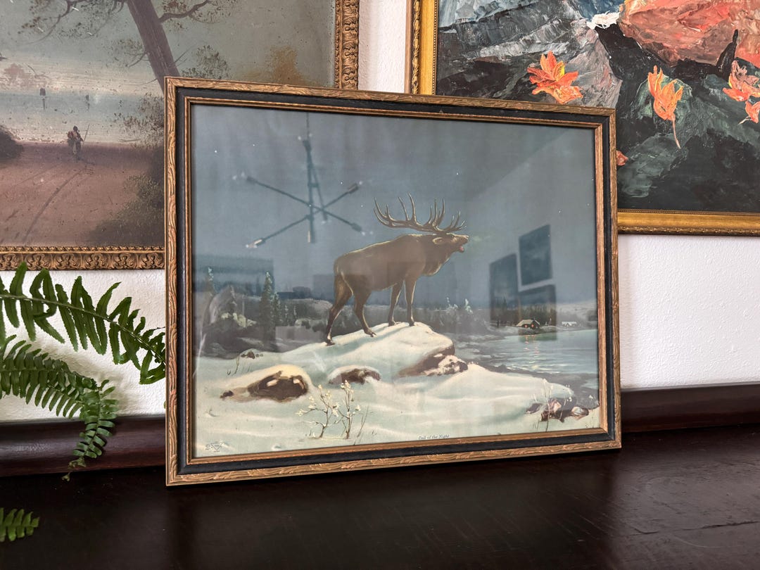 Vintage "call of the Wild" Elk Lithograph Vintage Theo Boehling Bugling ...