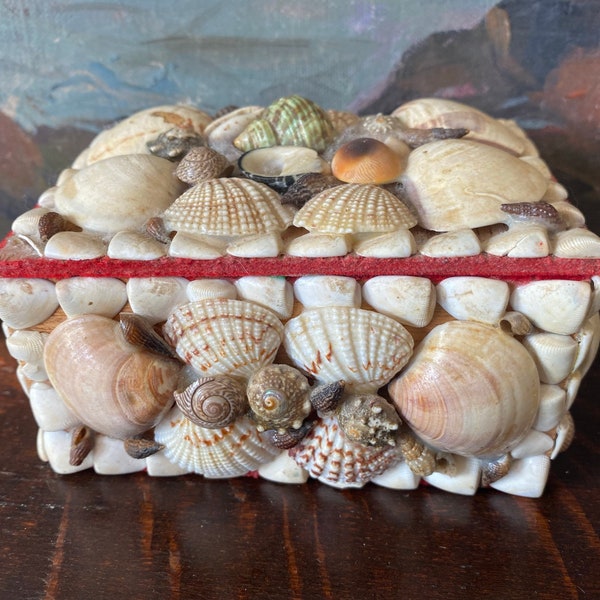 Seashell Jewelry Box - Etsy