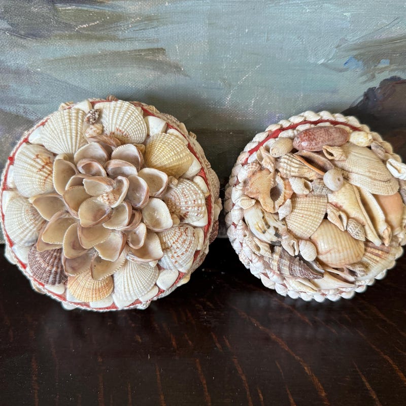 Seashell Jewelry Box - Etsy