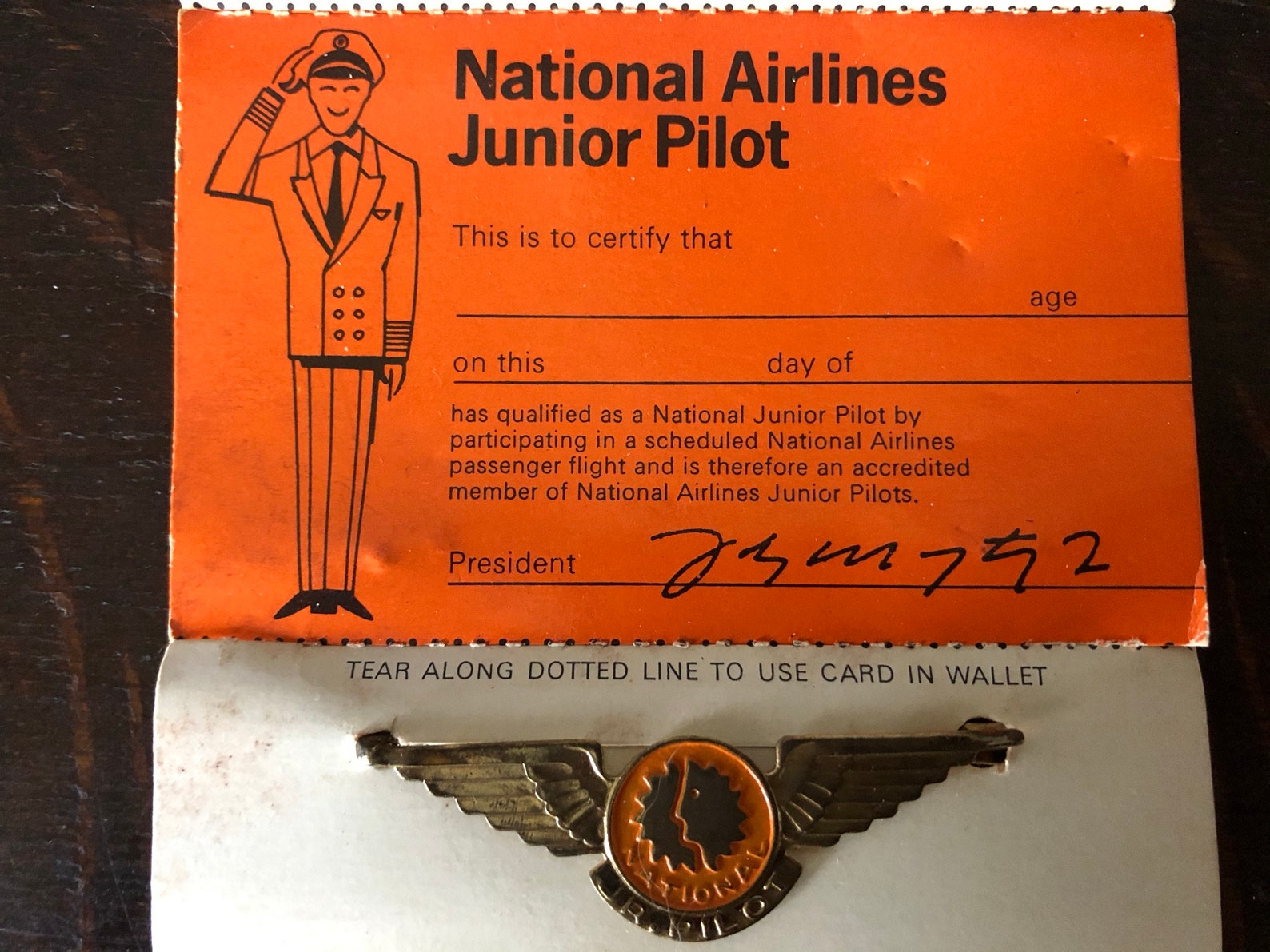 Vintage 1960's Metal National Airlines Junior Pilot Pin on | Etsy