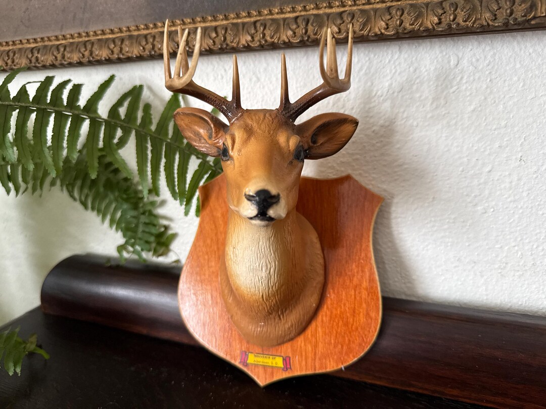 Vintage Faux Deer Head Wall Mount Vintage Orn-a-craft Chalkware Buck ...