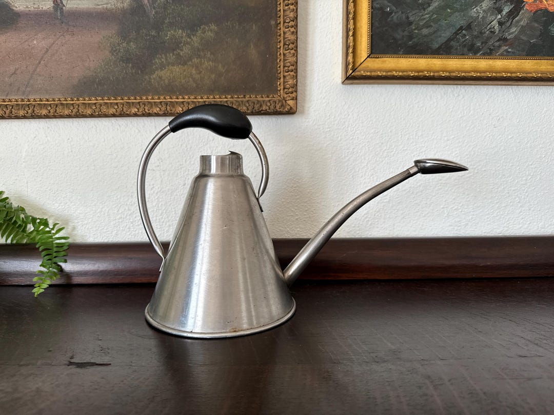 Vintage Silver Watering Can With Rubber Handle Vintage Cactus Can ...