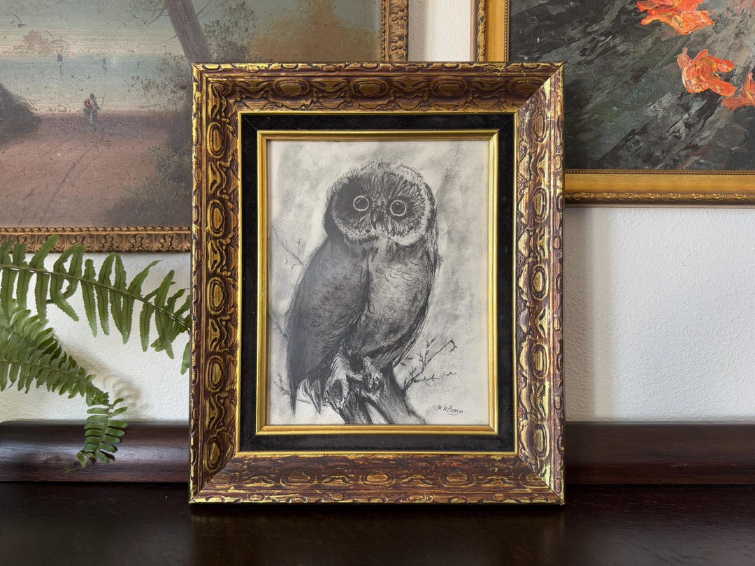 Vintage Owl Portrait Sketch Vintage Owl Drawing by Maximo Alonso ...