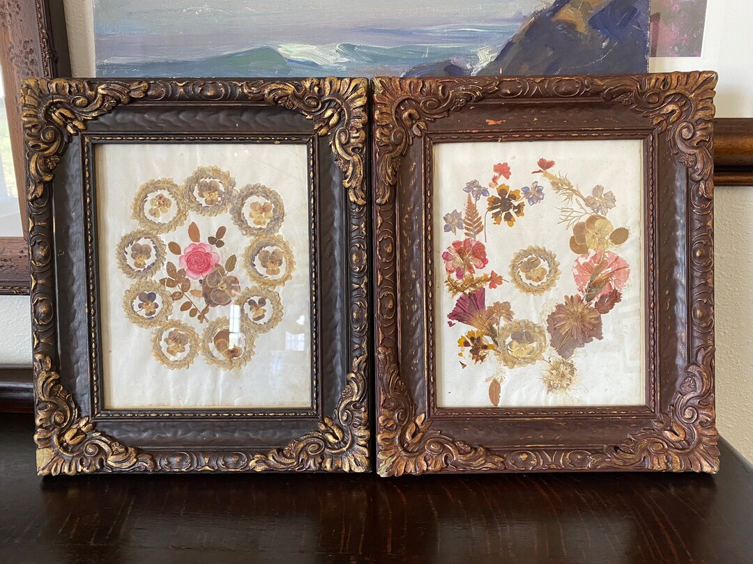 Antique Victorian Pressed Flower Arrangements in Ornate Gesso Frames ...