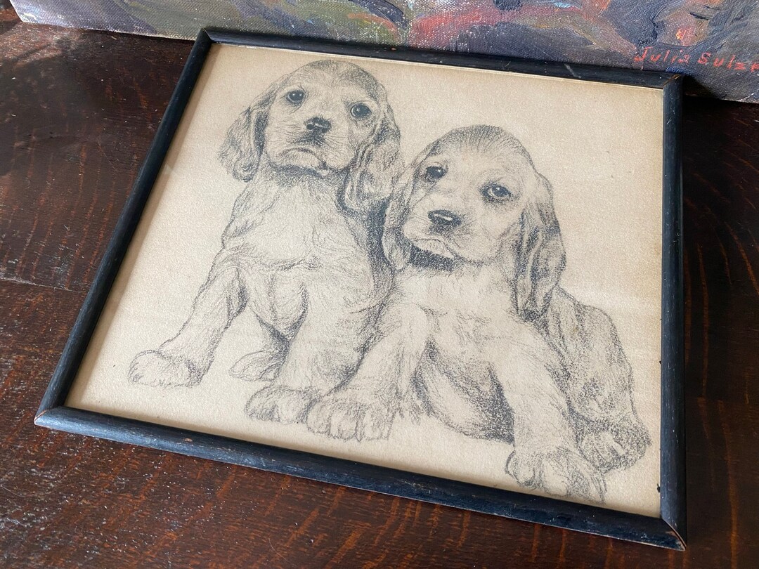 Vintage Hand-drawn Pet Portrait Vintage Puppy Sketch Vintage Dog Sketch ...