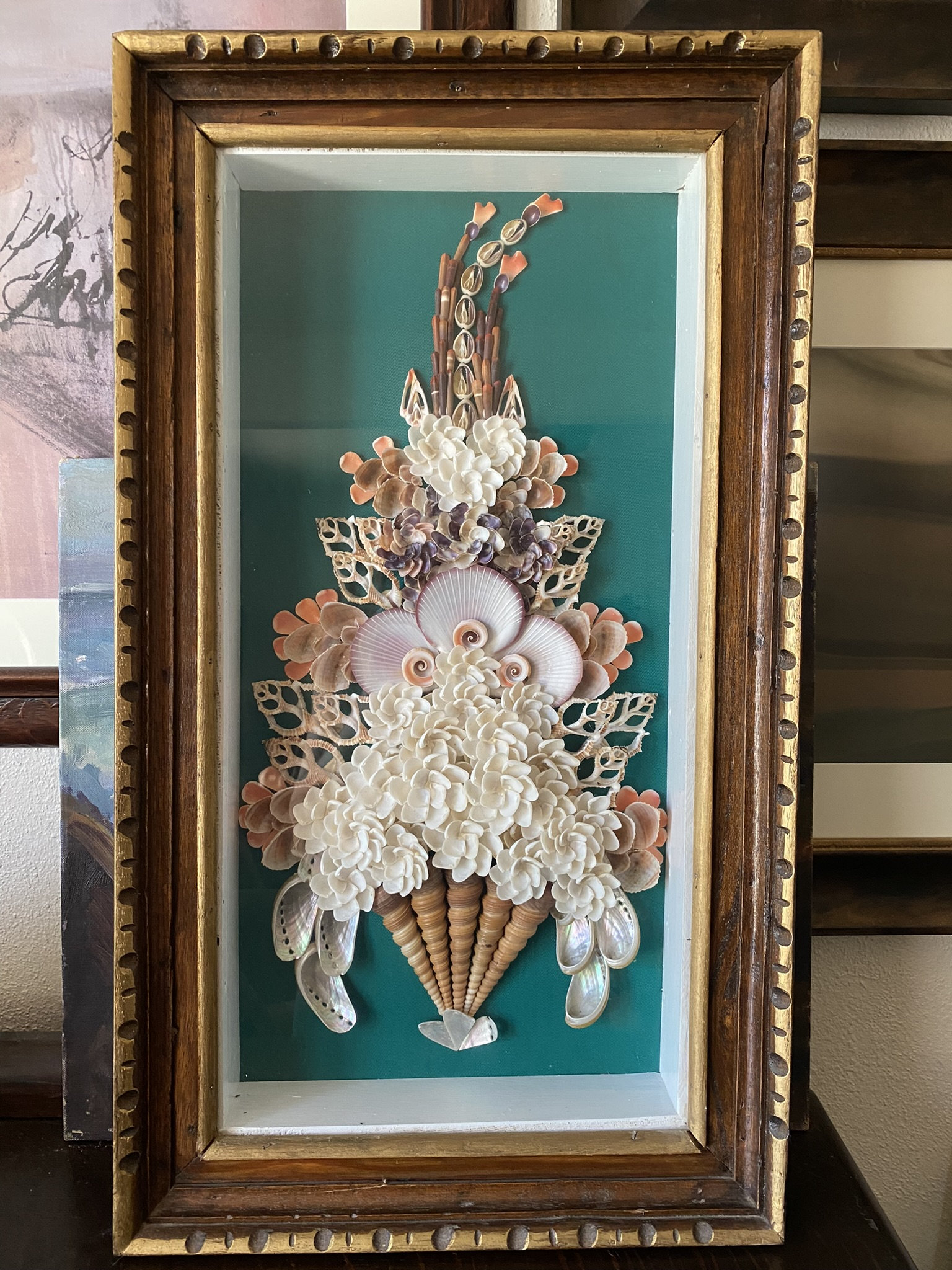 Vintage Shell Drawings