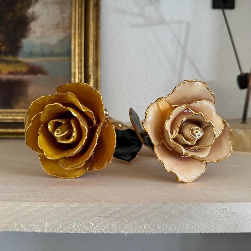 24k Gold Dipped - Etsy