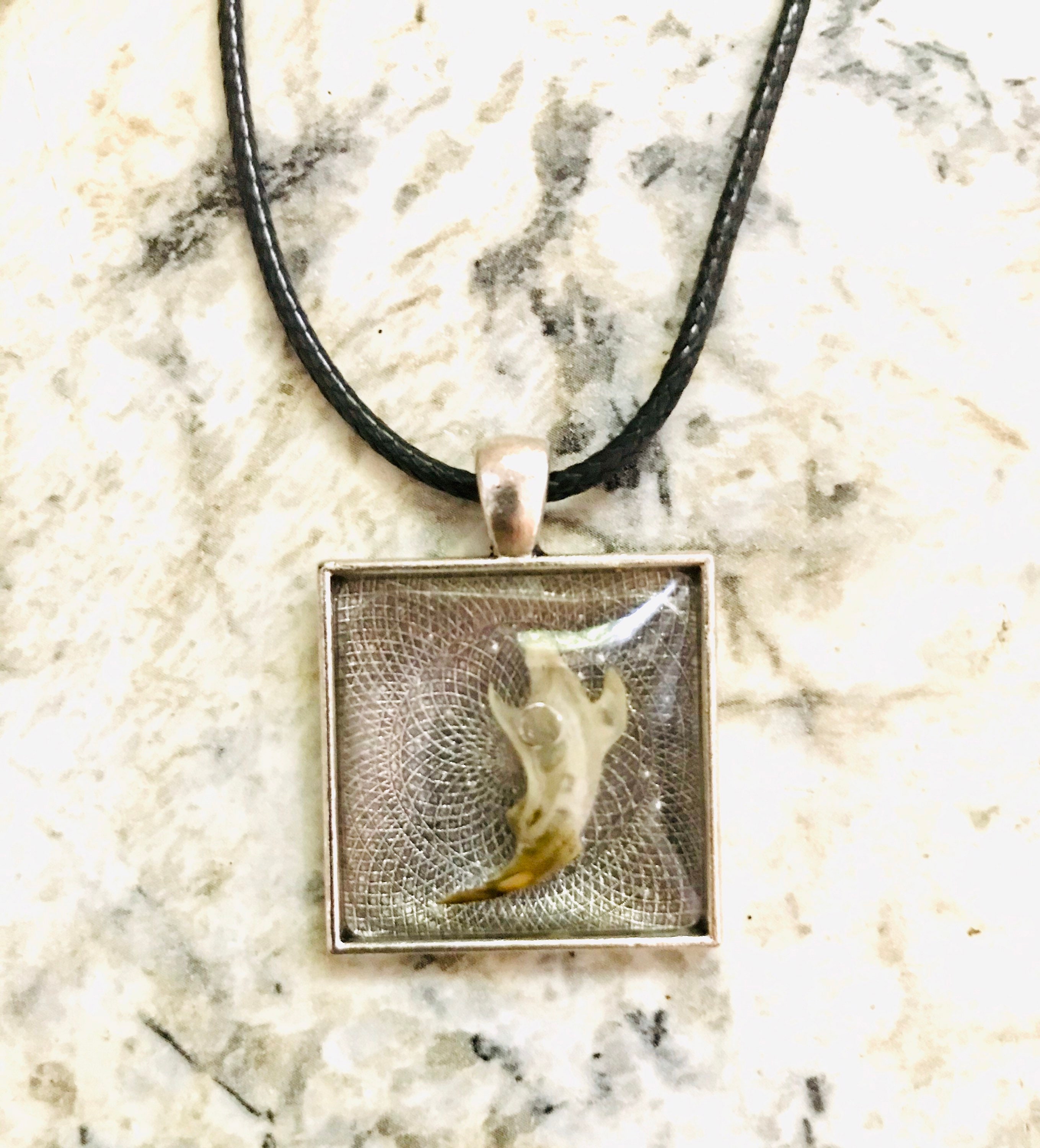 Vole Jaw Bone in Resin Pendant Necklace - Etsy