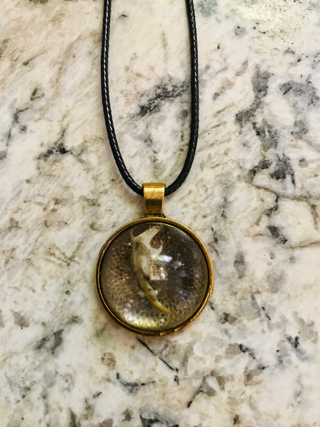 Vole Jaw Bone Resin Pendant Necklace - Etsy