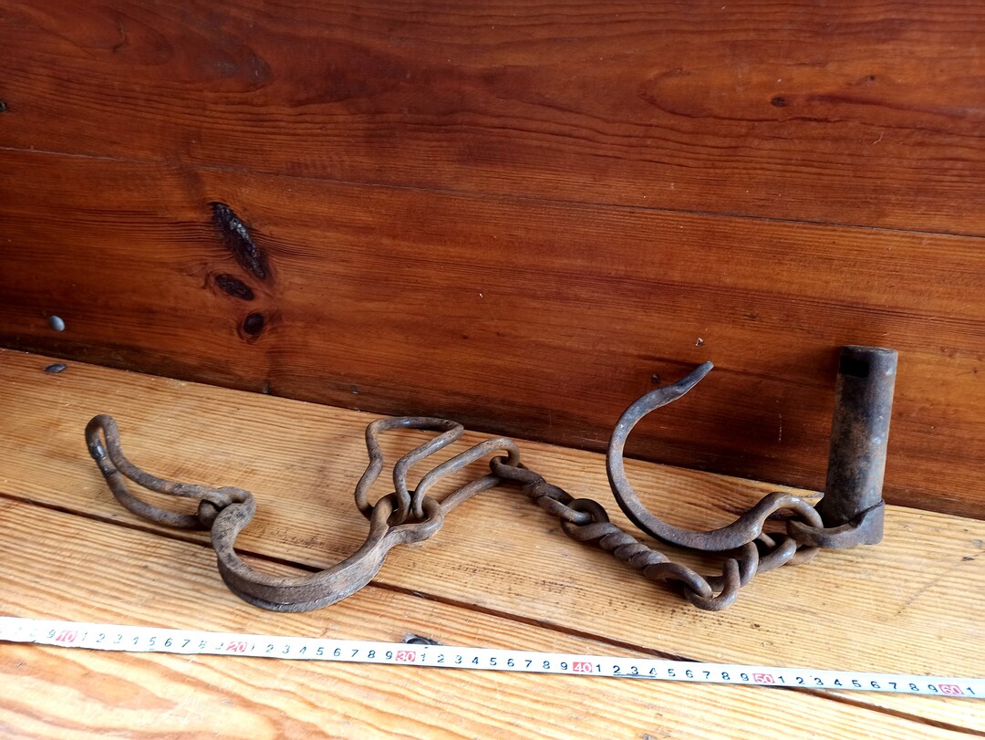 Antique Forged Shackles of the 18th-19th Centuries. Horse Leg Shackles ...