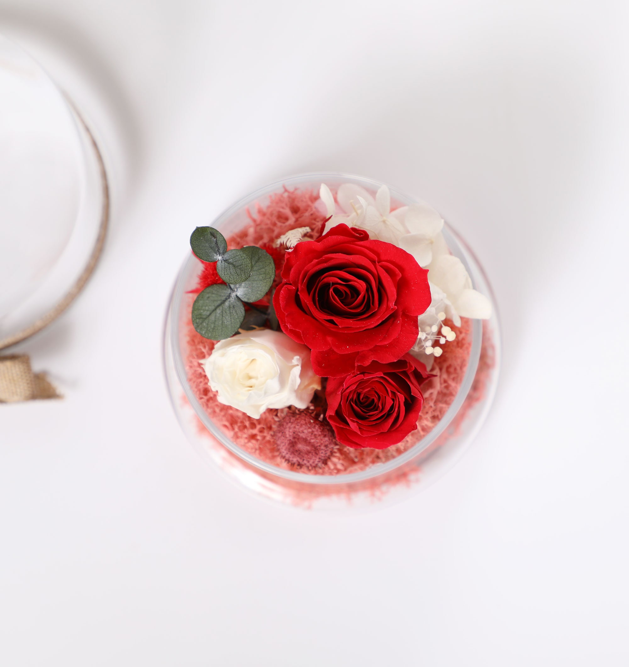 Mini Eternal Roses Glass Dome High Quality Preserved Roses, Preserved ...