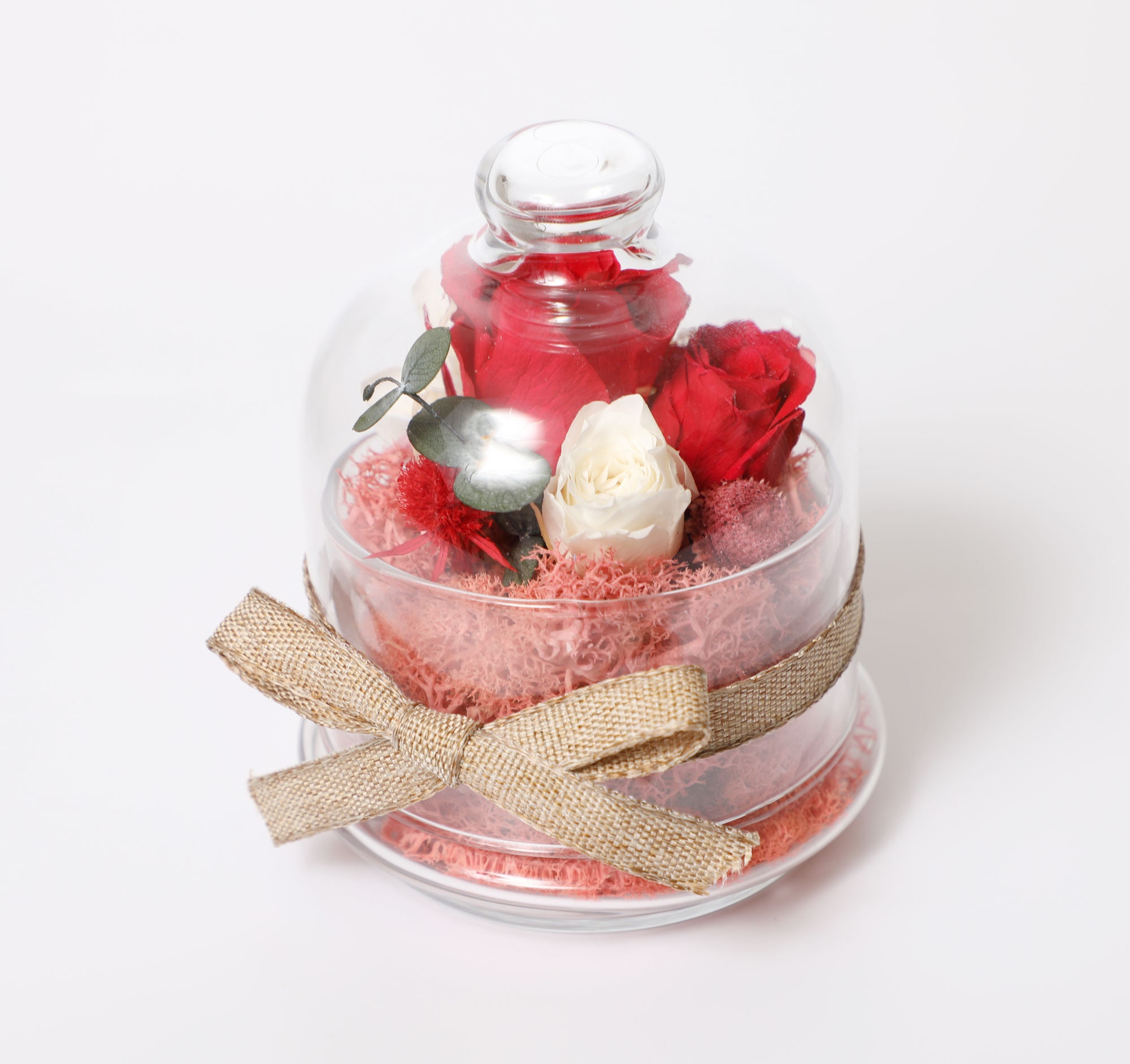 Mini Eternal Roses Glass Dome High Quality Preserved Roses, Preserved ...