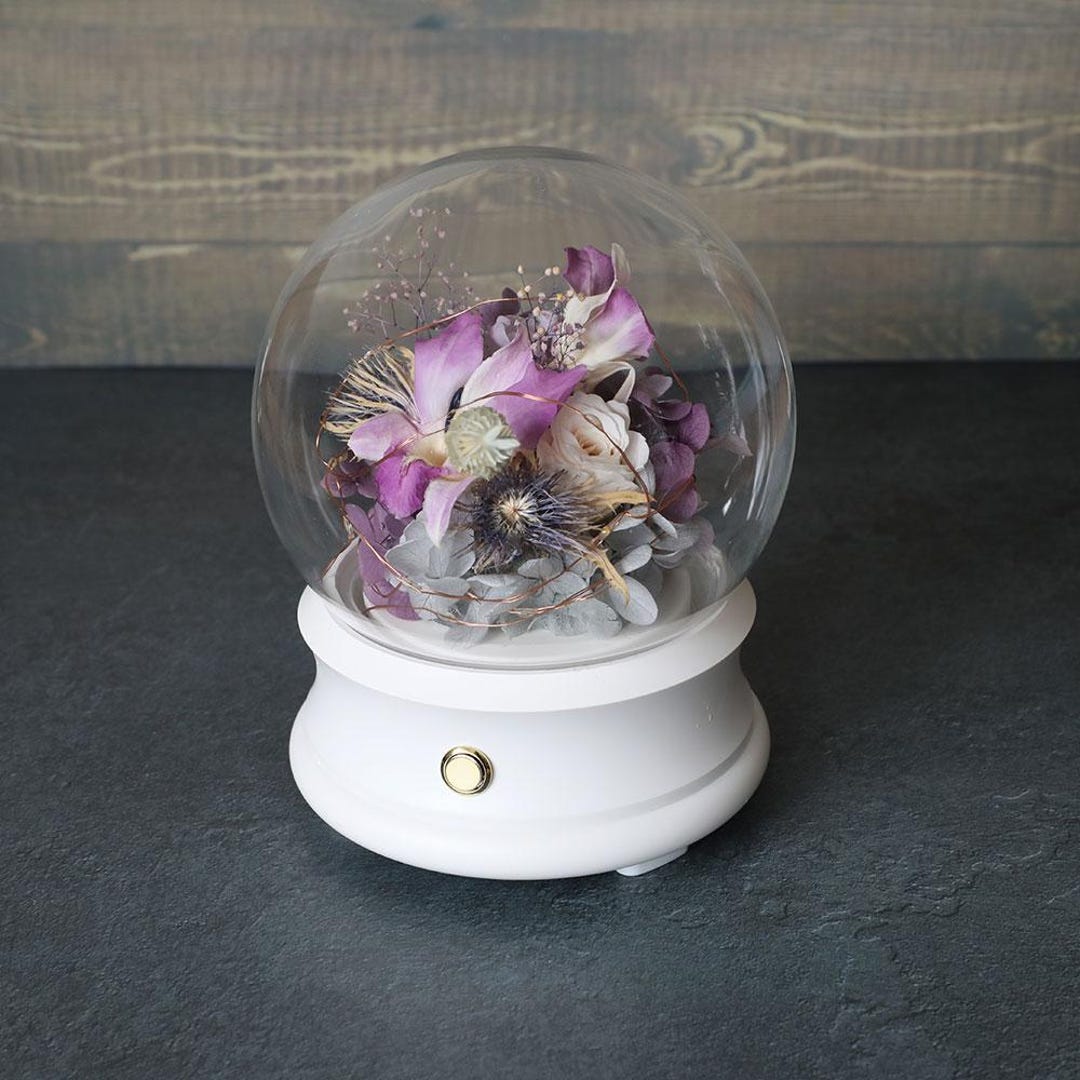 Purple Eternal Orchid, Dendrobium and Rose Glass Dome: LED Night Light ...