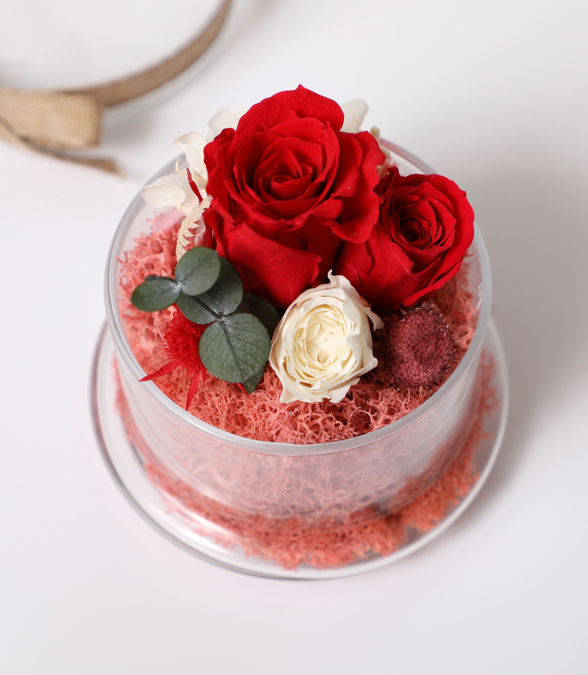 Mini Eternal Roses Glass Dome High Quality Preserved Roses, Preserved ...