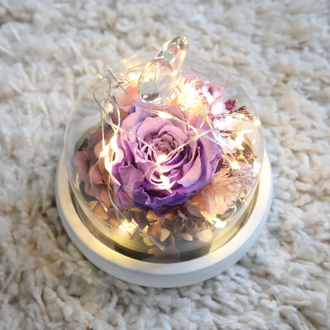 Red Eternal Roses, Dried Flowers Glass Dome, Table Display, Home Decor ...