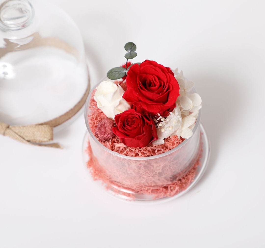 Mini Eternal Roses Glass Dome High Quality Preserved Roses, Preserved ...