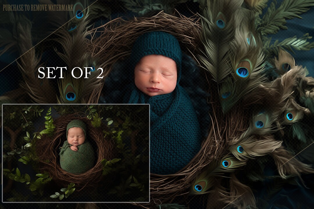 SET OF 2 Newborn Nest Digital Background, Newborn Nest Backdrop ...