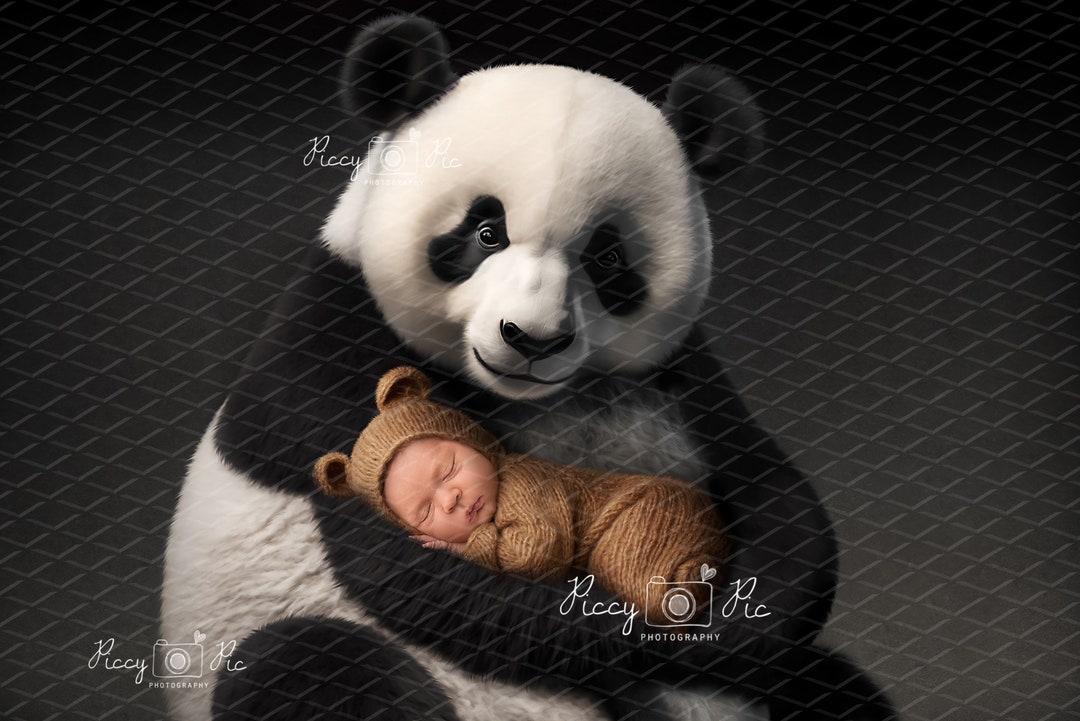 Panda Bear Newborn Digital Background, Bear Newborn Background, Bear ...