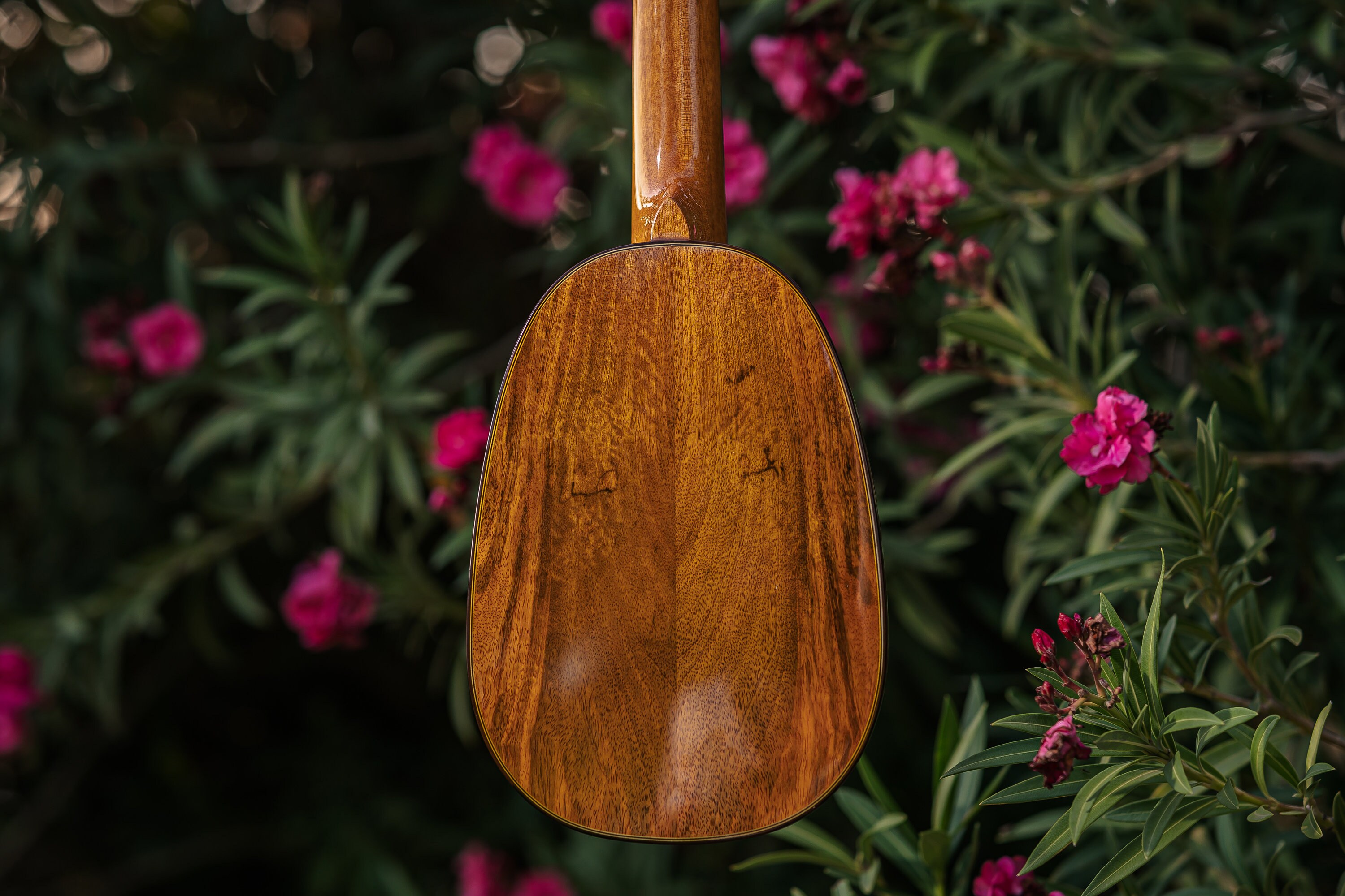 Limited Edition 220G Series Solid Mango Pineapple Ukulele