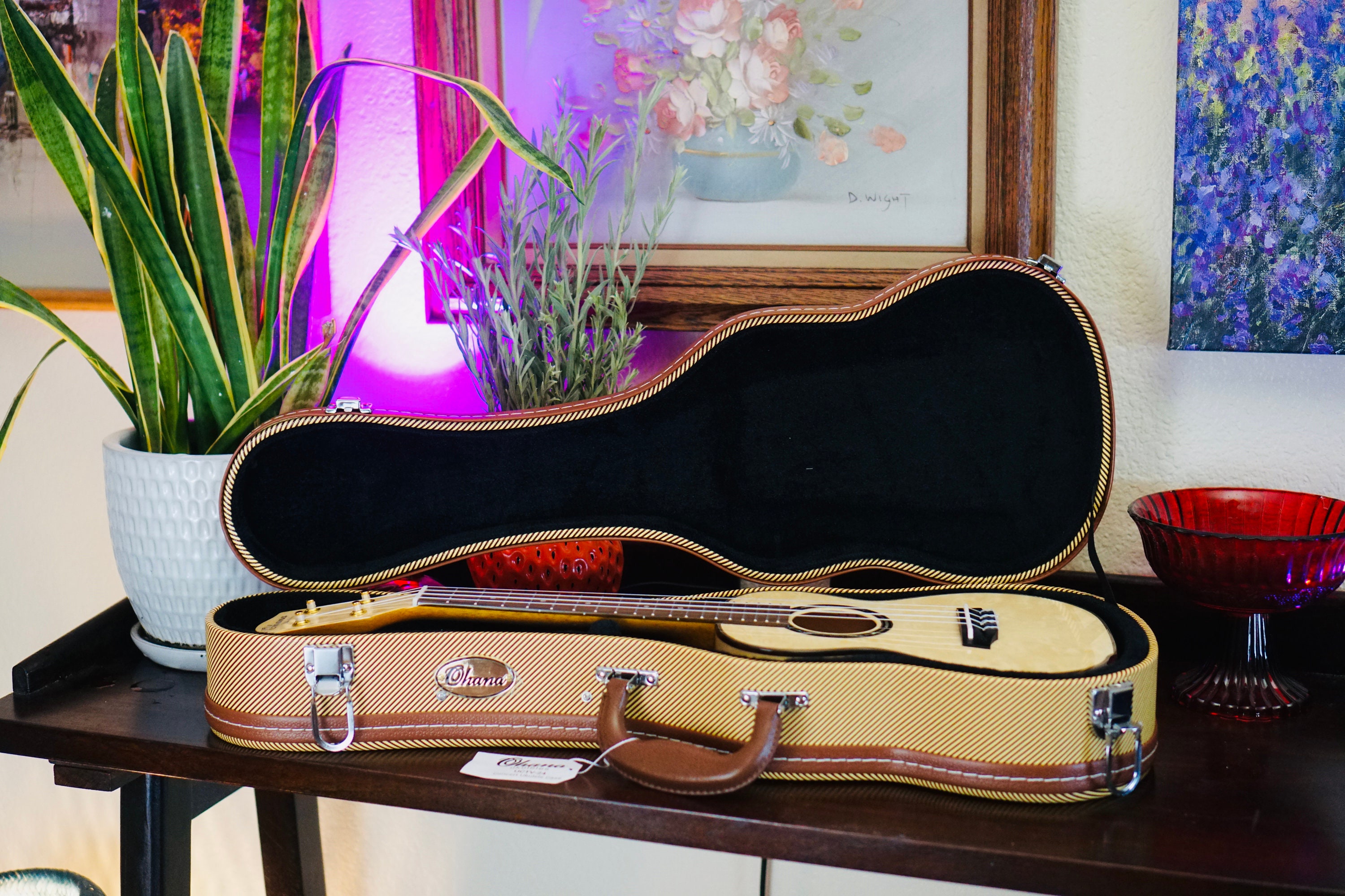 Stunning Quilted Eucalyptus Wood & Abalone Inlay Concert Ukulele BUNDLE ...