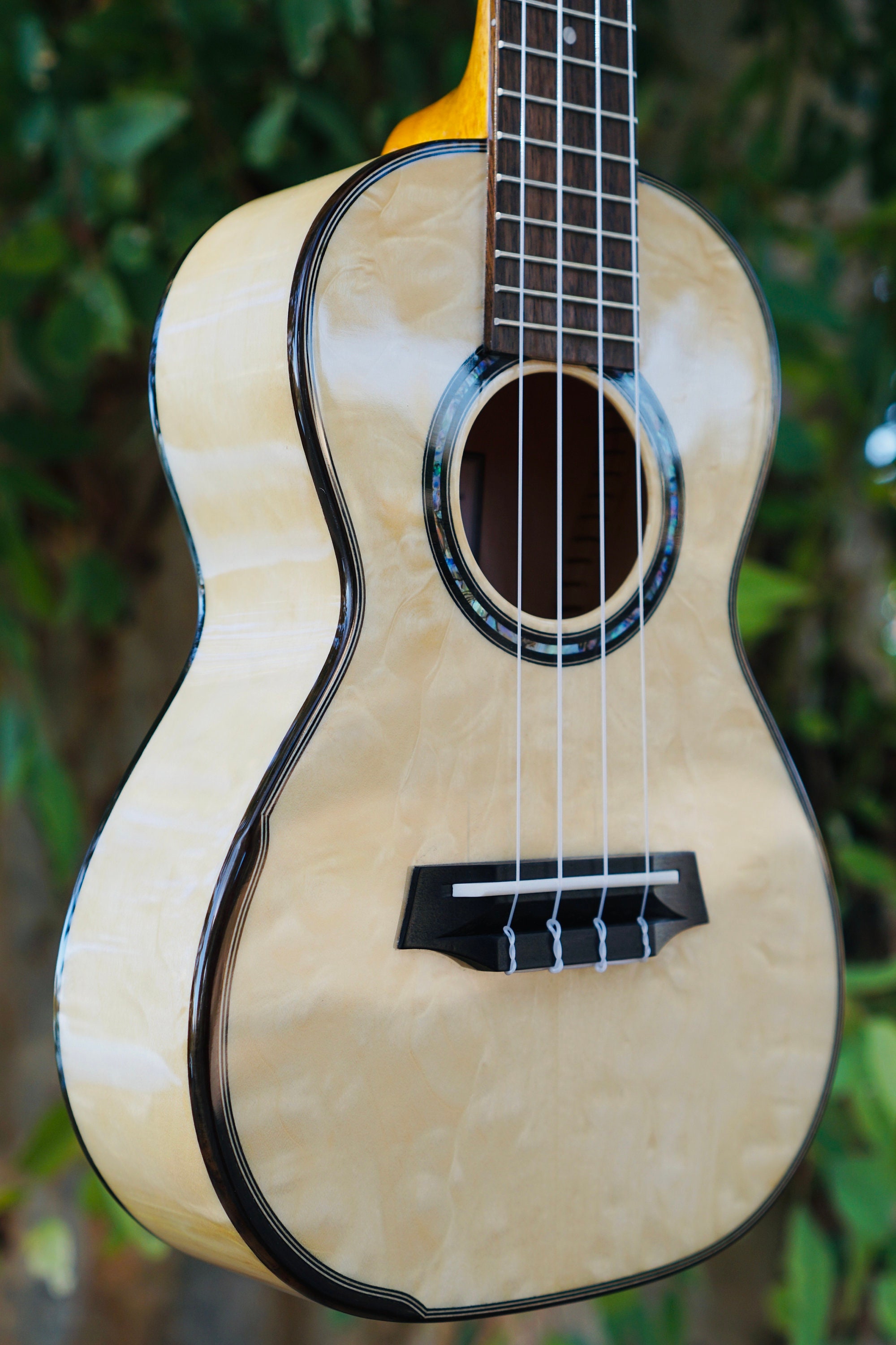 Stunning Quilted Eucalyptus Wood & Abalone Inlay Concert Ukulele BUNDLE ...