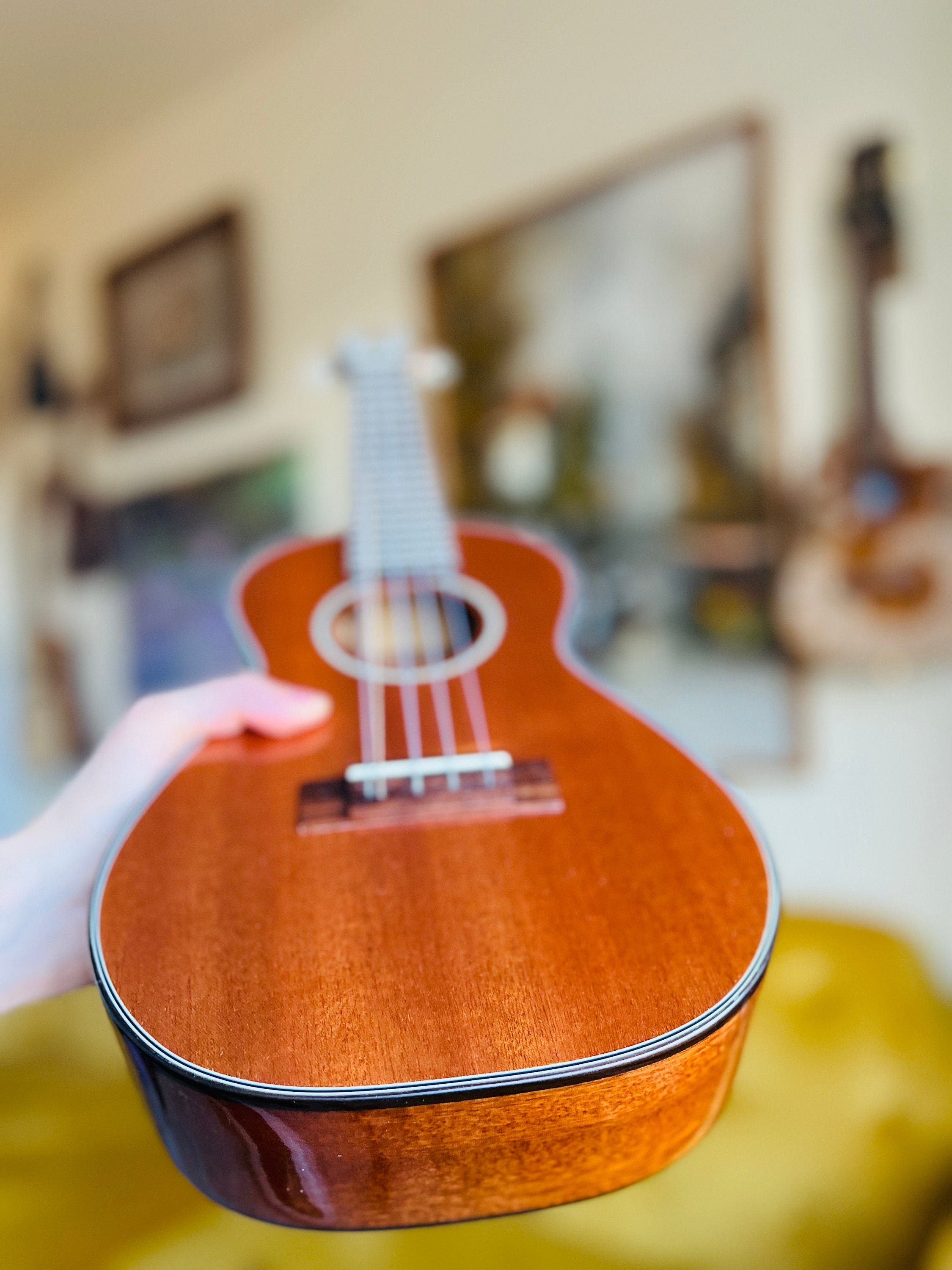 Double G: 5 String Ohana Concert Ukulele BUNDLE