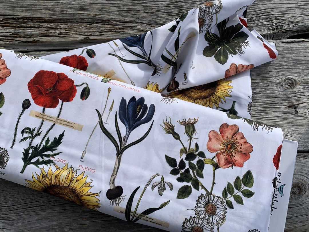 Fabric Riley Blake Designs Quilting Fabrics Cotton Sewing ART - Etsy