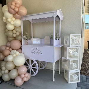 Neutral Balloon Arch, Boho Blush Balloons, Pink Boho Balloons, Neutral ...