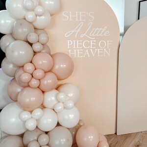 Neutral Balloon Arch, Boho Blush Balloons, Pink Boho Balloons, Neutral ...