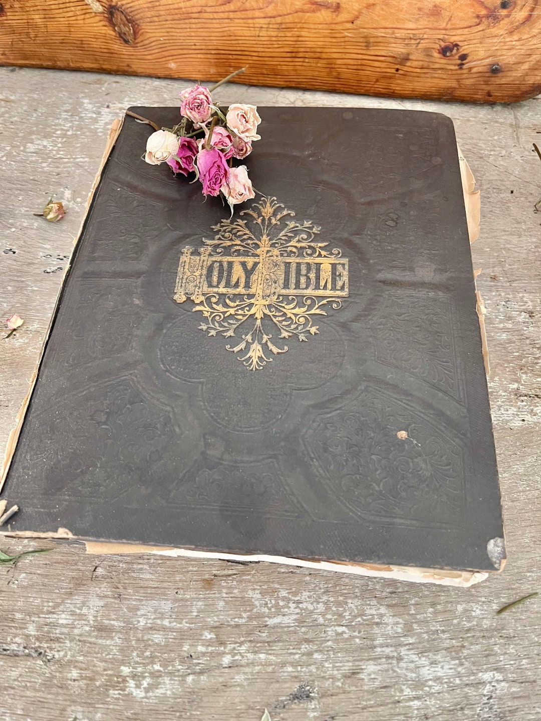 Rare 1880 Bible Huge Display Leather Tooled and Gilt - Etsy