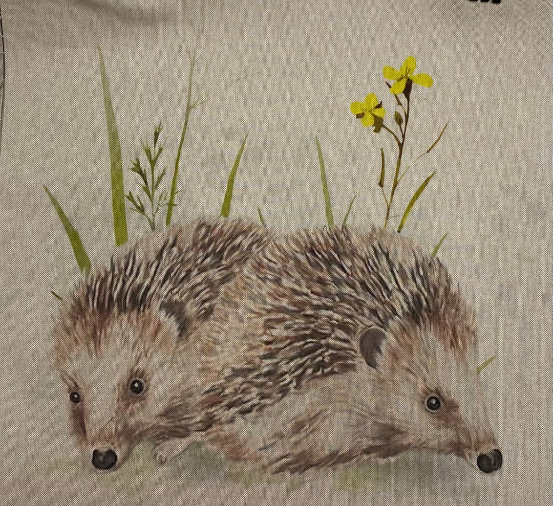 Hedgehogs Cushion Fabric Panel. Digitally Printed Cotton Rich Fabric ...