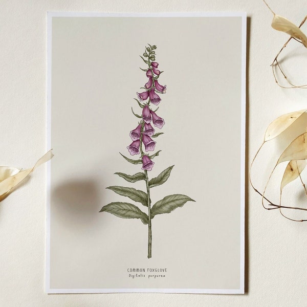 Foxglove Print - Etsy