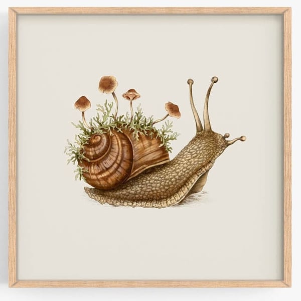 Snail Art - Etsy