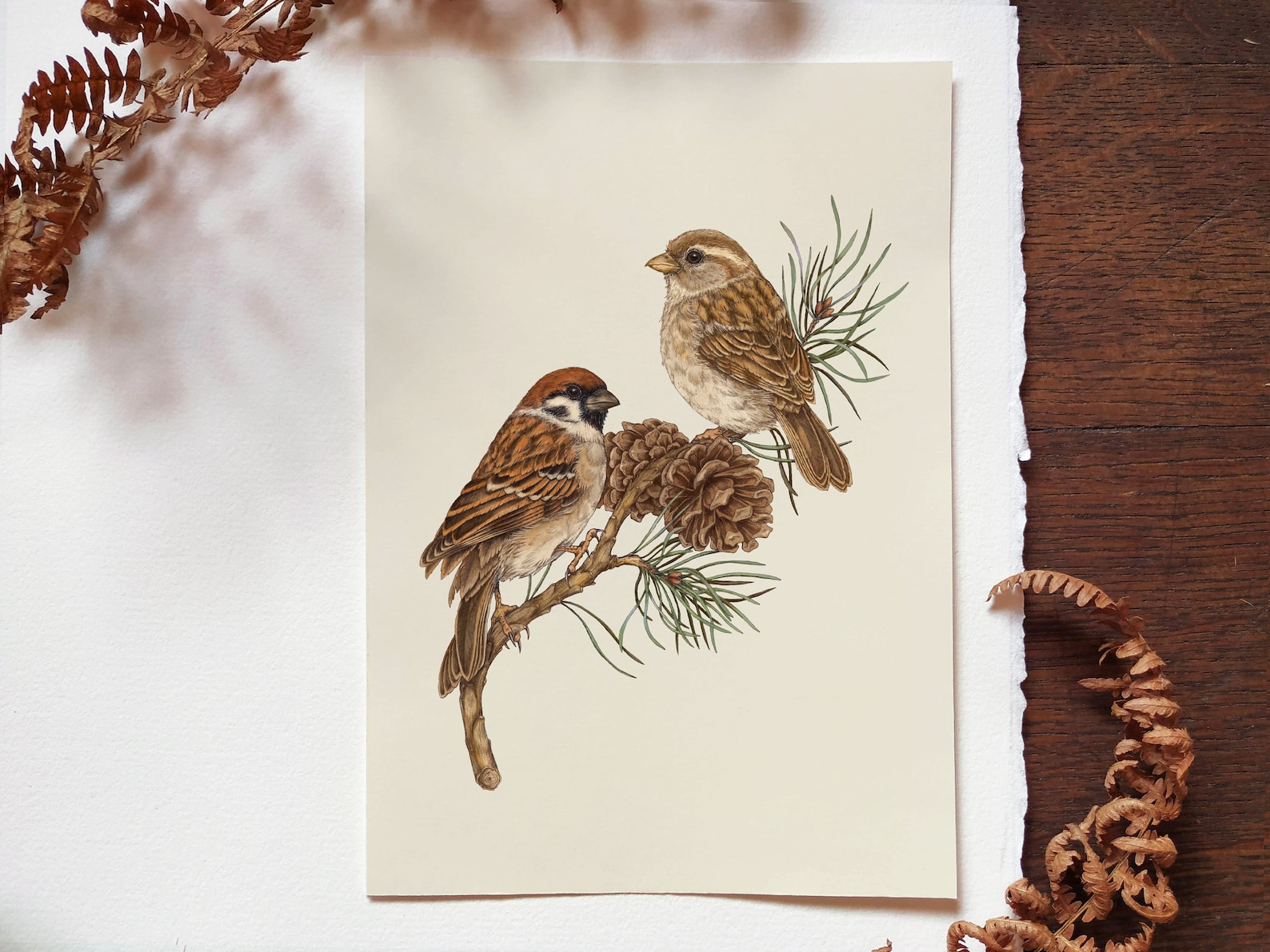 Bird Print Set of 4,garden Bird Print Set,mini Bird Art Print,5x7 Print ...