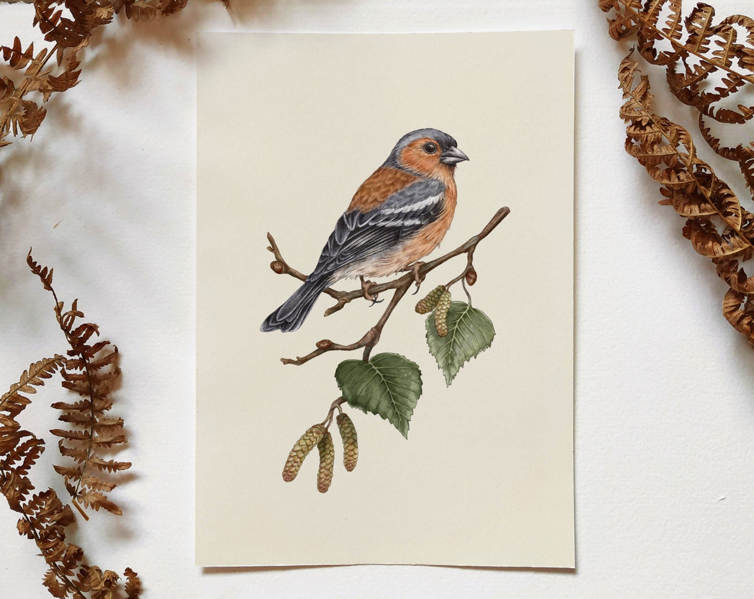 Bird Print Set of 4garden Bird Print Setmini Bird Art - Etsy