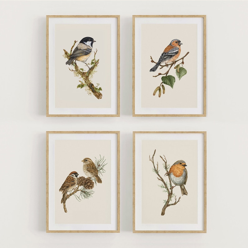 Bird Print Set of 4garden Bird Print Setmini Bird Art - Etsy