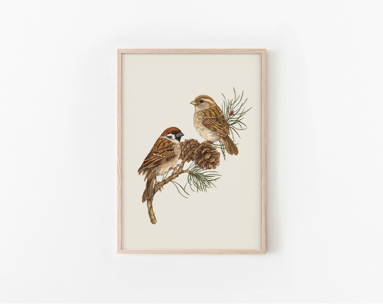Sparrow Art Print, Bird Art Print, Sparrow Illustration, Wildlife Art ...