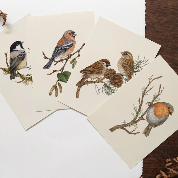 Bird Art Print - Etsy