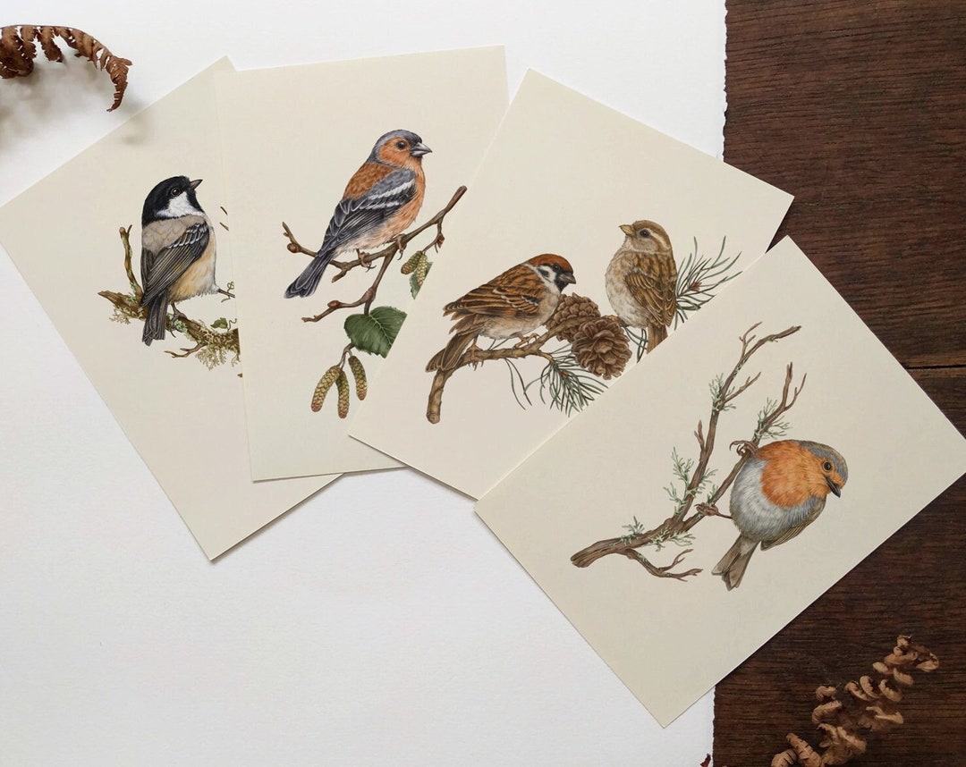 Bird Print Set of 4garden Bird Print Setmini Bird Art - Etsy
