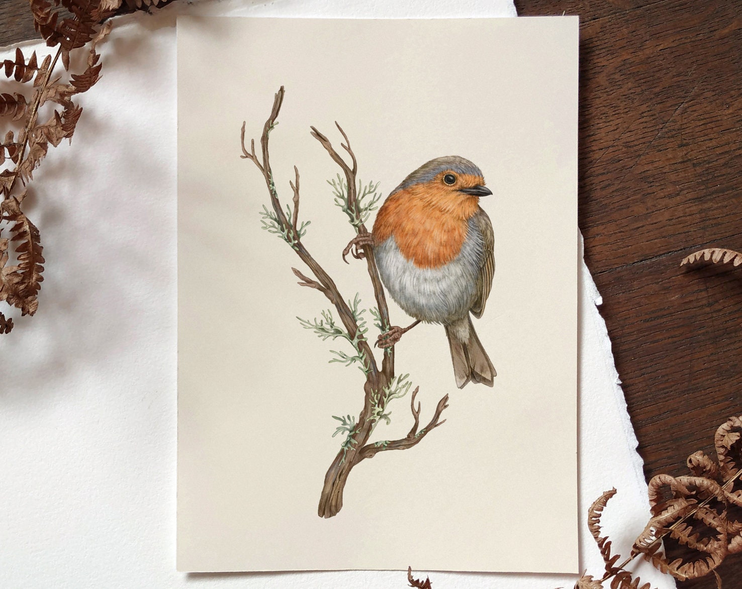 Bird Print Set of 4garden Bird Print Setmini Bird Art - Etsy