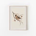 Hawfinch Bird Print,hawfinch Illustration, Bird Artwork,garden Bird ...