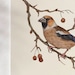 Hawfinch Bird Print,hawfinch Illustration, Bird Artwork,garden Bird ...