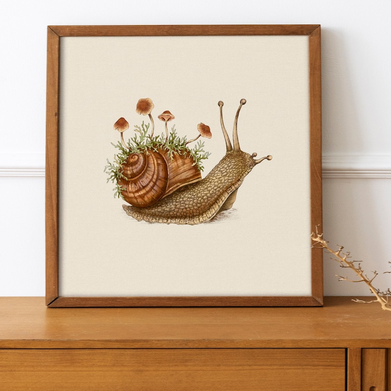 Garden Snail Art Print Wildlife Illustration Nature Poster - Etsy