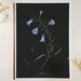 Bluebell Flower Botanical Print Illustration, Black Botanical Print ...