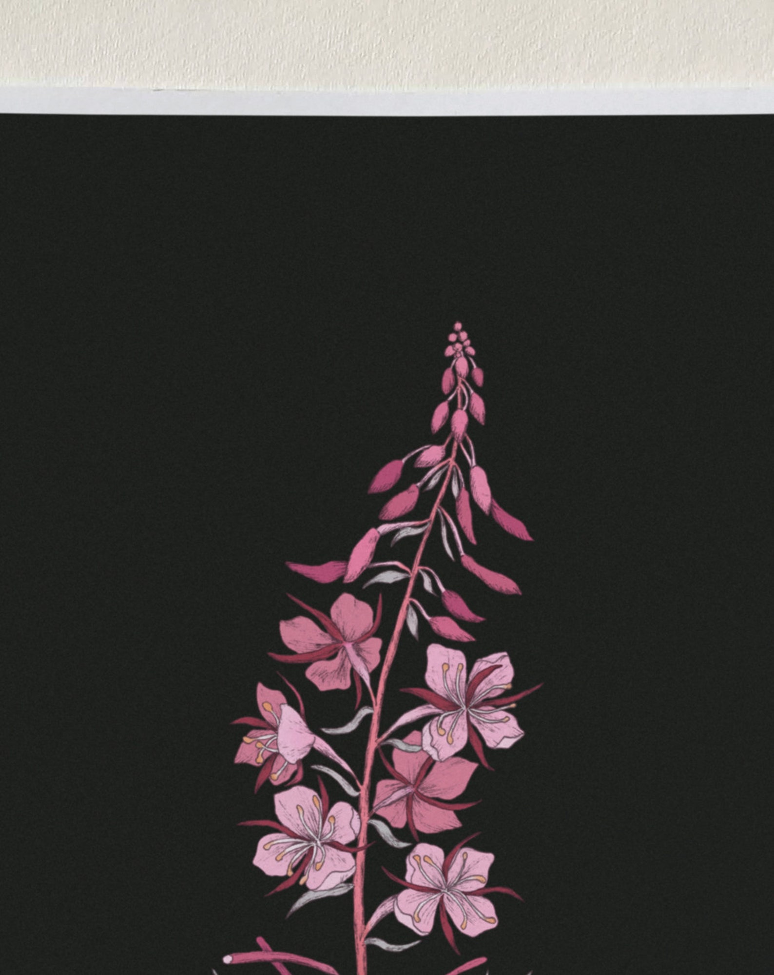 Fireweed Flower Botanical Print Illustration Pink Red - Etsy
