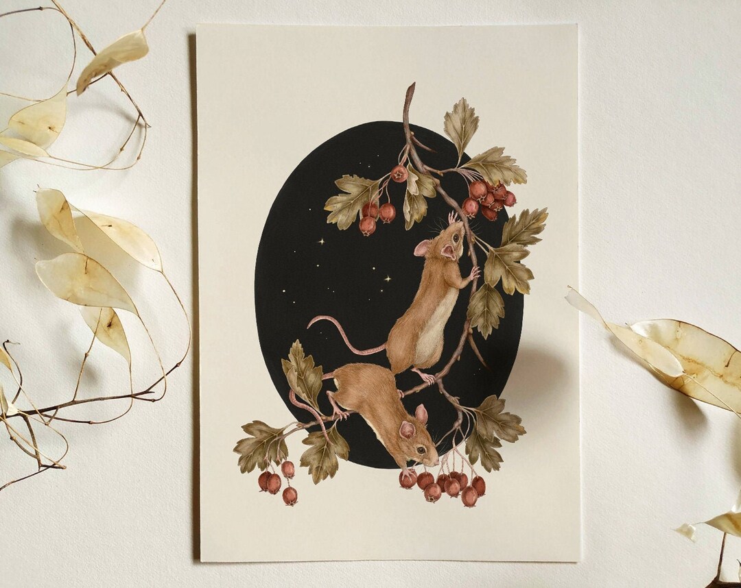 Mouse on Hawthorn Art Print,woodland Animal Print,cute Mouse ...