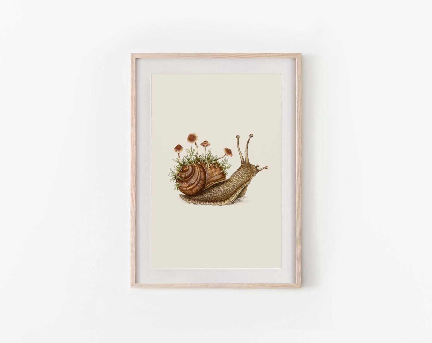 Garden Snail Art Print Wildlife Illustration Nature Poster - Etsy